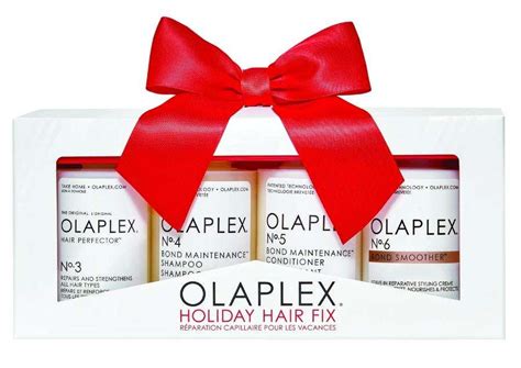 opalex-hair-fix-kit-gift-idea | Everyday Style