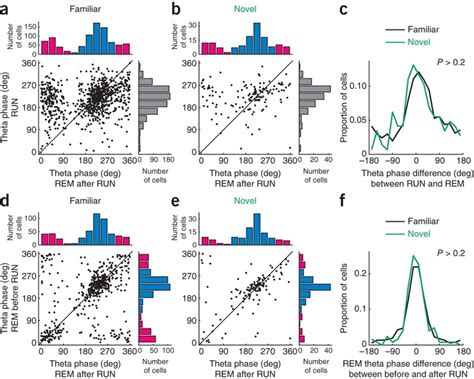 The Theta Phase Of Spikes During Rem Is Not Affected By Novel