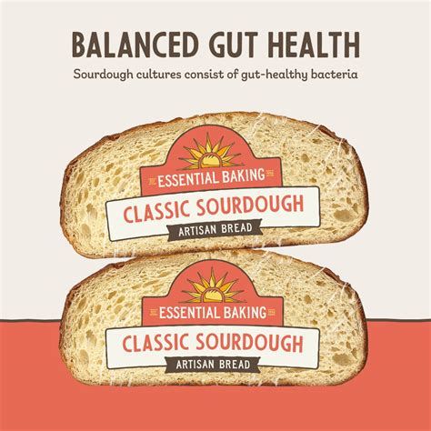 Essential Classic Sourdough Bread Artisan Everyday Loaf The