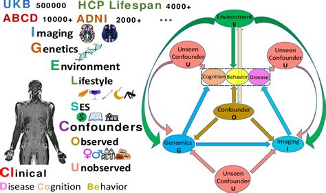 Figure 1 From Statistical Learning Methods For Neuroimaging Data Analysis With Applications
