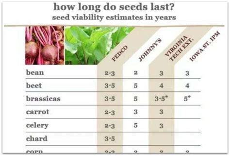 Vegetable Seed Viability Table Chart Of Seed Longevity Garden By