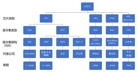 Ai芯片架构体系综述：芯片类型cpu Gpu Fpga Asic以及指令集csis Risc介绍 知乎