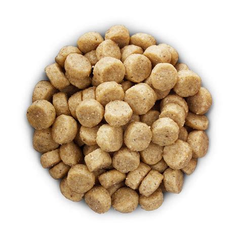 Hill's u/d Canine | Prescription Diet | Shop Today
