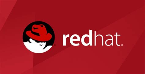Vulnerability Red Hat Dhcp Client Script Code Execution Cve 2018