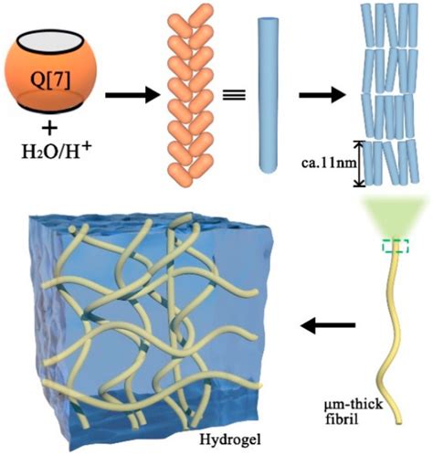 Preparation And Biomedical Applications Of Cucurbit N Uril Based Supramolecular Hydrogels Pmc