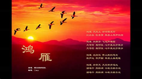 鸿雁 Liwus Youtube