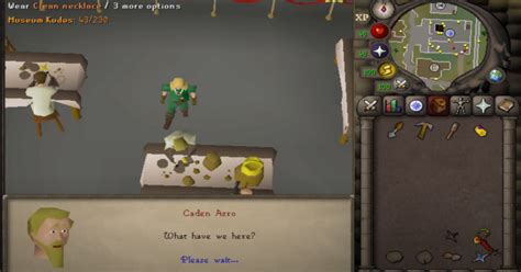 Learn Everything About The Display Case 22 In Osrs The Nature Hero