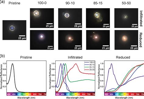 Crafting Nanostructured Hybrid Block Copolymergold Nanoparticles By Confined Self Assembly In
