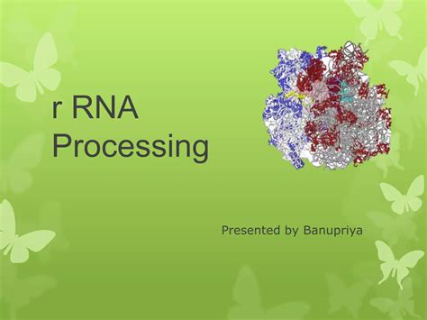 R Rna Processing Pptx Chemistry Science