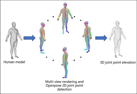 Human Model 3d Joint Point Estimation Process Download Scientific Diagram