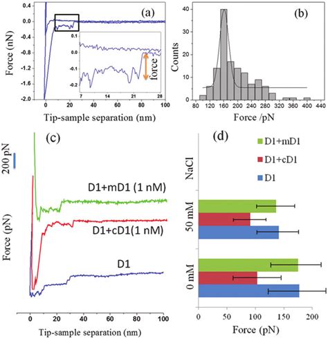 Sensing Of Complementary And Mismatched Ssdna With Smfs A Typical Fd