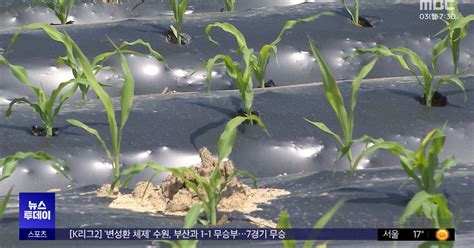 분해가 너무 빨라‥친환경 생분해성 비닐 논란