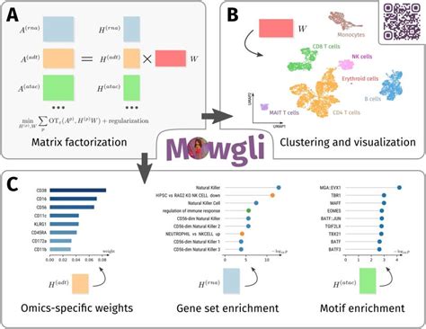 Knowing01 On Linkedin Paired Single Cell Multi Omics Data Integration