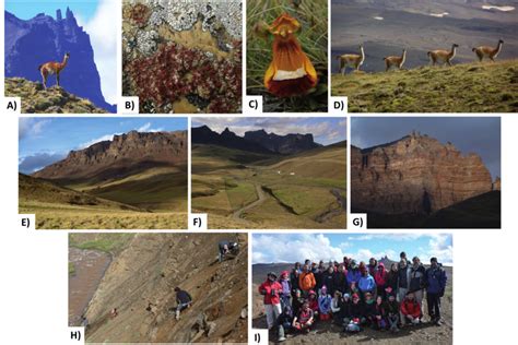 Distinctive Attributes And Activities Developed In The La