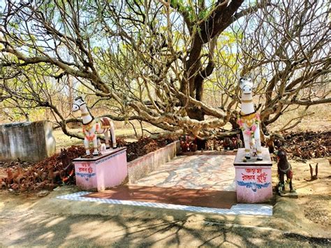 Rakab Forest Purulia What To Expect Timings Tips Trip Ideas