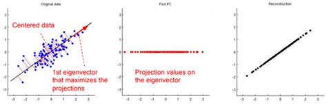 Dimensionality Reduction Algorithms Sqlml