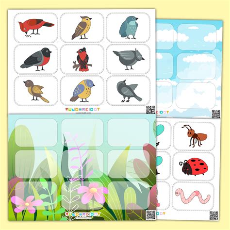 Printable Animal Classification Sorting Preschool Activity