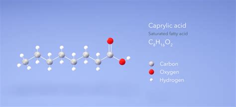 Culona Immagini Sfoglia Foto Vettoriali E Video Stock Adobe Stock