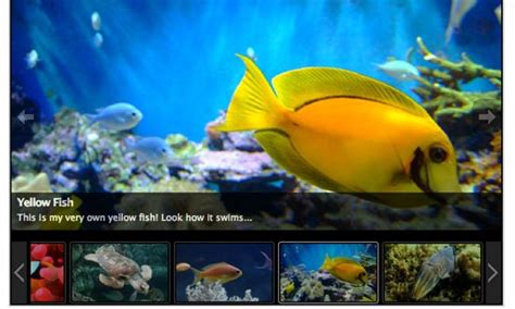 15 Awesome Wordpress Slideshow Gallery Plugins