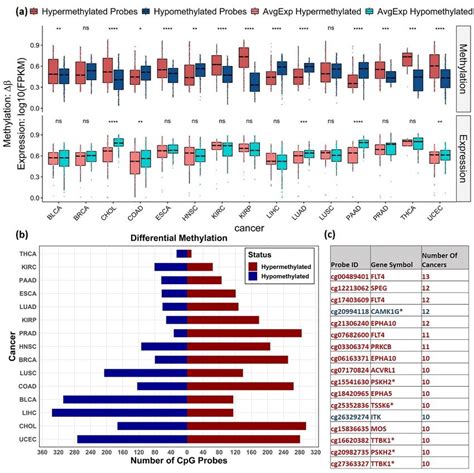 Pan Cancer Analysis Of Human Kinome Gene Expression And Promoter Dna