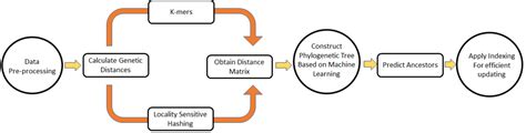 github gihanmora phylogenetic tree construction phylogenetic tree