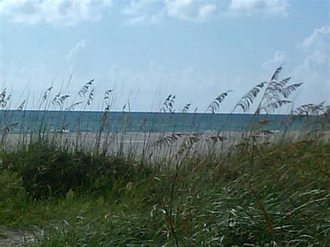 Sex On The Beach Sentencing Jumping Sturgeon Grow House Fire