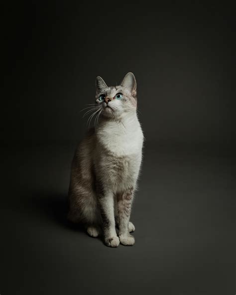 Telegraphcutegirls Photos Download The Best Free Telegraphcute