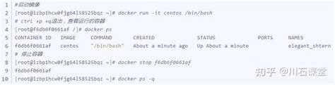 docker 常用命令——容器命令 知乎