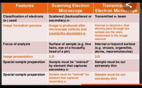 Comparision Between Optical Microscope Sem And Tem Together