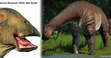 Nigersaurus The Dinosaur With 500 Teeth Geology In