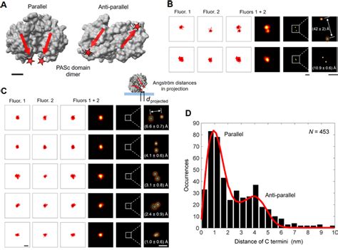 Conformational Measurements At And Below Fret Range Distances And