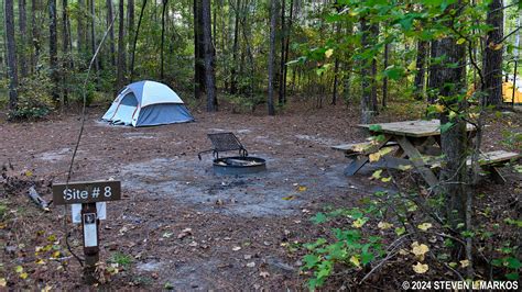 Congaree National Park Longleaf Campground