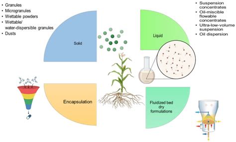 Advances In The Development Of Biofertilizers And Biostimulants From Microalgae