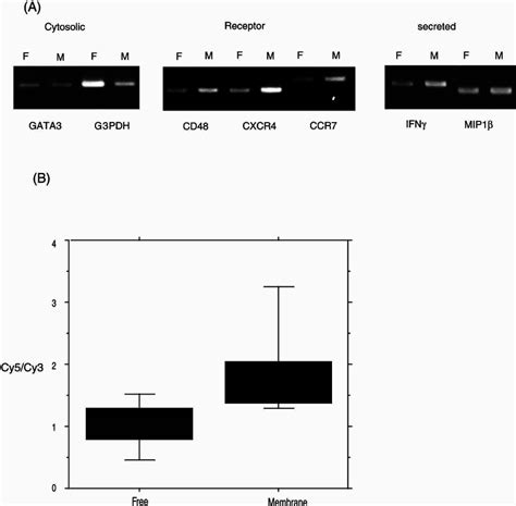 Distribution Analysis Of Rna Encoding Proteins With Characterized