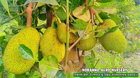 Dacca Shop Dacca Shop Added A New Photo