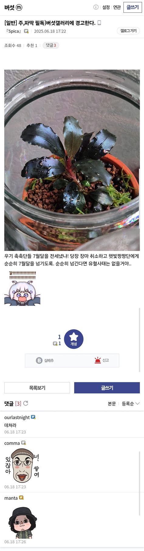 싱글벙글 버섯갤러리 근황 자유게시판 라이브스코어 라이브맨 실시간 라이브스코어 토토사이트 추천 꽁머니 먹튀검증 커뮤니티 안전놀이터 추천 배당흐름 분석 예상 7m