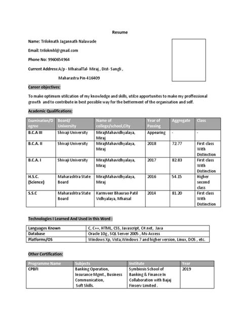 Trilok Resume Download Free Pdf Computing Platforms Software