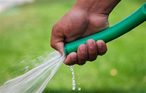 Max Semen Volume How To Increase Sperm Volume 7 Easy Steps