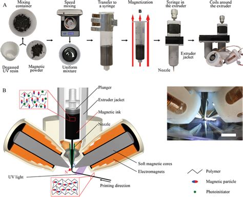 Small‐scale Soft Robots With Programmable Magnetization Fabrication Download Scientific Diagram