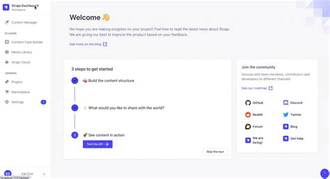 quick start guide strapi developer docs strapi中文文档 strapi中文网