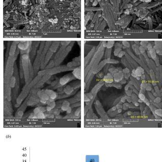 A FE SEM Images And B The Particle Size Distribution Curve Download Scientific Diagram