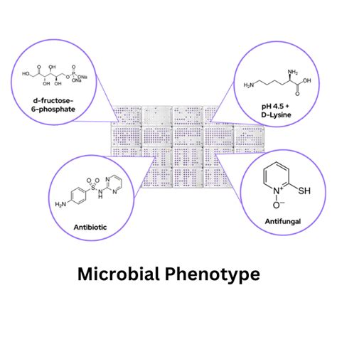 Microbial Phenotype Instrumed Service Co Inc