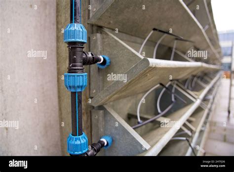 Vertical Wall Garden Irrigation At Cassandra Wild Blog