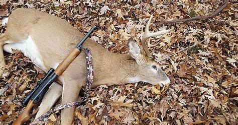 11 Pointer 2015 Album On Imgur