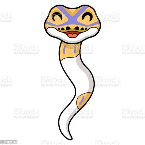 Lucu Pisang Pied Ball Python Kartun Ilustrasi Stok Unduh Gambar