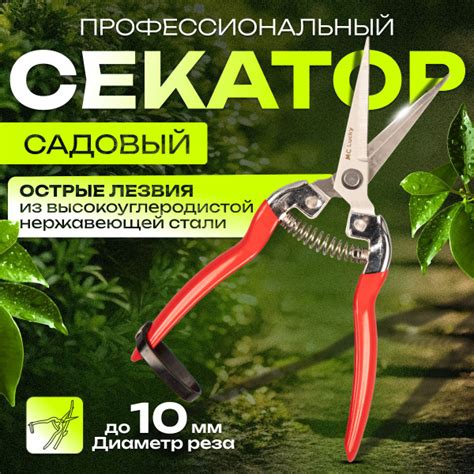 Секатор садовый / Профессиональный секатор для флориста / Ножницы для ...