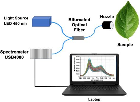 Experimental Setup For Hyperspectral Fluorescence Analysis Download Scientific Diagram