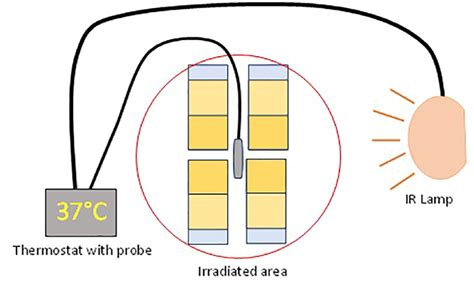 Scheme Of The Working Set Download Scientific Diagram