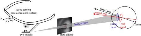 Figure 1 From Pupil Contour Based Gaze Estimation With Real Pupil Axes