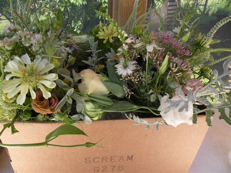 Fibonacci Numbers Sunflower Sequence And Mid Summers Angles Of